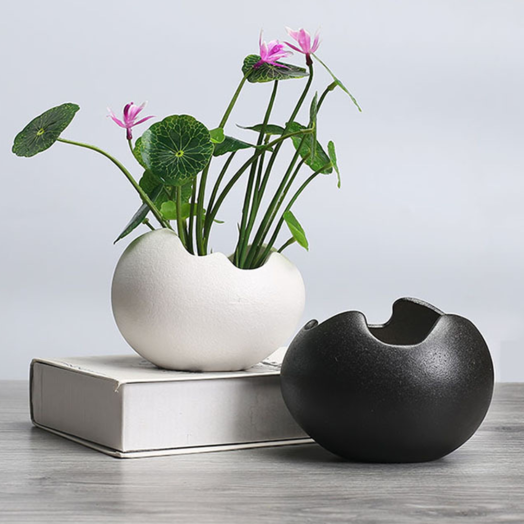 Revive Ceramic Hydro Pot – Vhailo
